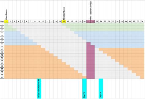 Brood Breaks And Varroa Control
