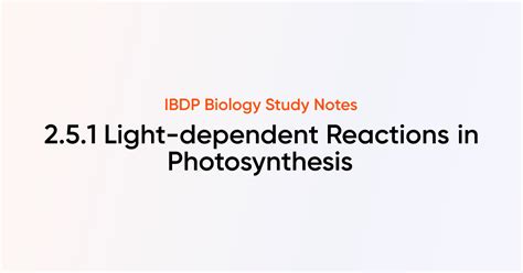 Light Dependent Reactions In Photosynthesis 251 Ib Dp Biology Notes Tutorchase