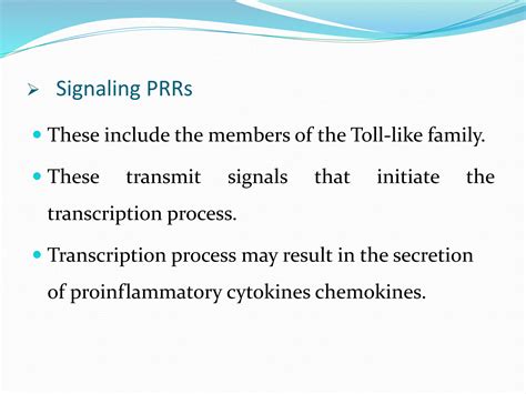 Pathogen Associated Molecular Patterns Pamps 2024 Notes Pptx