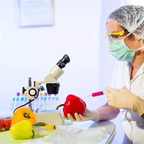 Vegetable And Vegetable Products Testing Service At ₹ 10000sample In