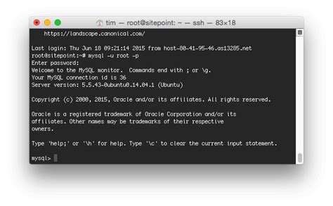 building a vps with wordpress on a lemp stack — sitepoint