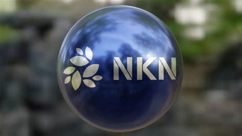 nkn bi weekly report may 1 may 15 2020 nkn
