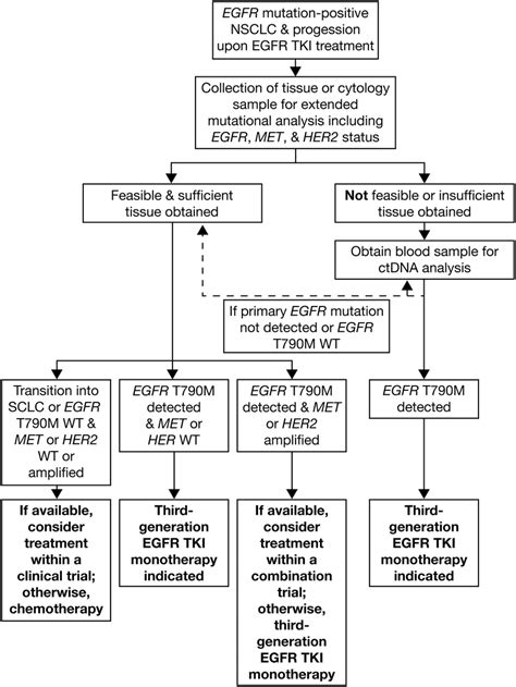 Egfr Mutation Testing Algorithm Wt Wild Type Download Scientific