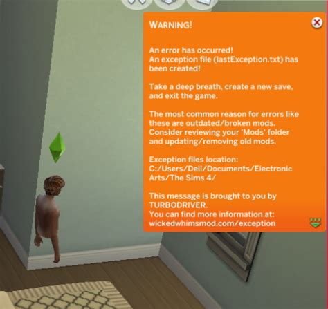Sims 4 Technical Problem The Sims 4 Technical Support LoversLab