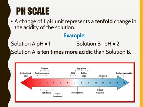 ACIDS, BASES, AND THE PH SCALE - ppt download