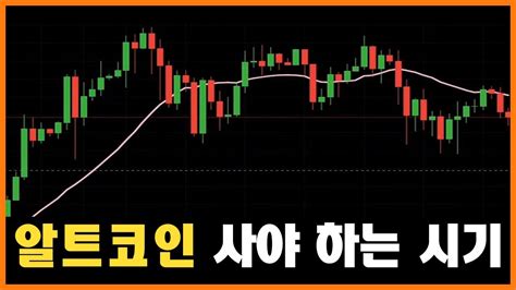 알트코인 투자 적기 바로 이때입니다 Youtube