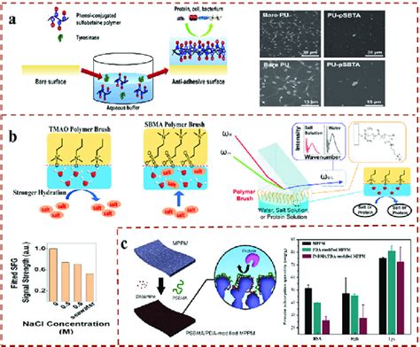 Zwitterionic Antifouling Applications A Fluorescence Microscope Download Scientific Diagram