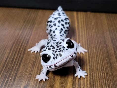 [반다이 가샤폰] 생물대도감 레쁘띠 2탄 크레스티드 게코 눈썹 볏도마뱀붙이 피규어 정보