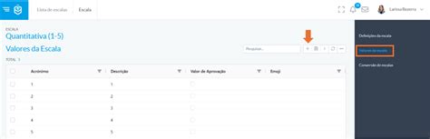 Creating Evaluation Scales E Schooling Help
