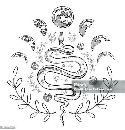 뱀과 마술 상징 벡터 일러스트 레이 션 고립된 배경에 뱀과 난해한 기호의 그림 문신을 위한 윤곽선 스타일로 검은색 잉크로 칠함 지문을 위한 천상의 마법 구성 검은색에 대한