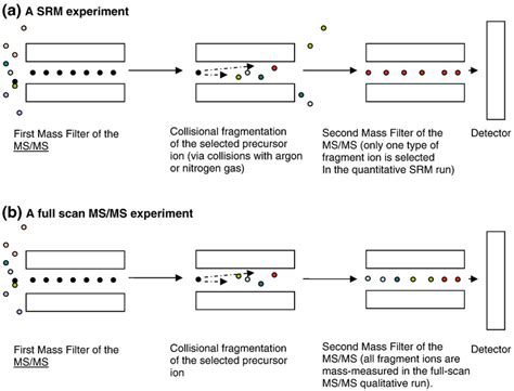 Differences Between Full Scan And Selective Reaction Monitoring Msms Download Scientific Diagram