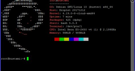 script auto install ssh dan openvpn untuk vps debian 10 64 bit