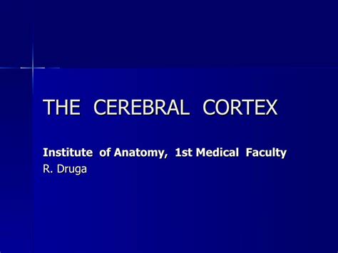 Pdf The Cerebral Cortex Anatomický ústav 1 Lf Ukanat Lf1 Cuni Cz Souhrny Alekls1002 Pdf