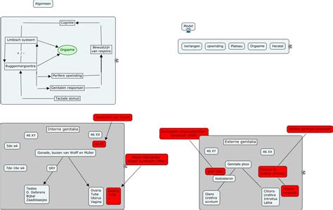 algemene ontwikkeling geslachtsorganen en verlangen model