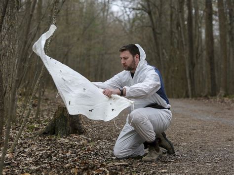 Kingston Researchers Use Genetic Sequencing To Monitor Tick Borne Pathogens The Kingston Whig