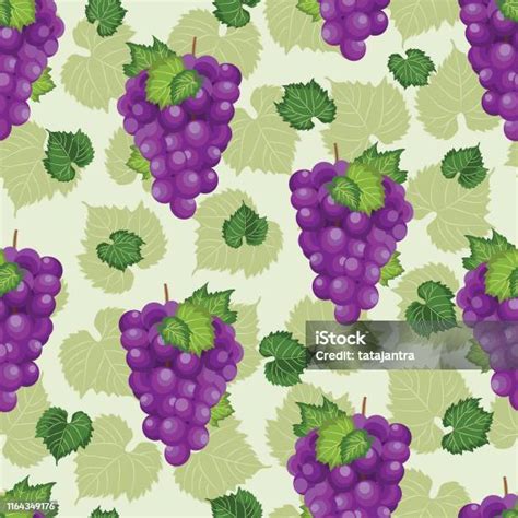 잎과 스케치 신선한 유기농 식품 보라색 포도 패턴 배경 과일 벡터 일러스트와 녹색 배경에 포도 무리 원활한 패턴 그리기에 대한 스톡 벡터 아트 및 기타 이미지 Istock