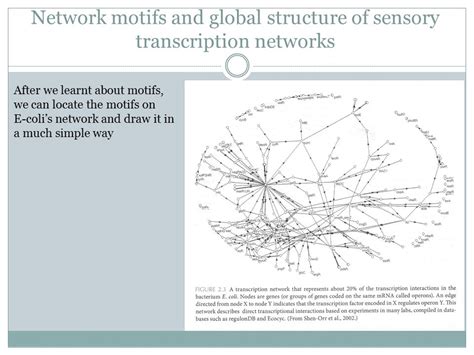 Seminar In Bioinformatics Winter 2011 Network Motifs Ppt Video