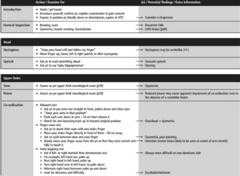 Cerebellar Function Flashcards Quizlet