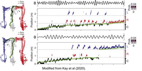 The Theta Gamma Neural Code Fewer Lacunae