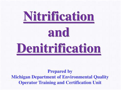Denitrification Equation