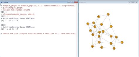 Social Network Analysis Using R Programming Geeksforgeeks