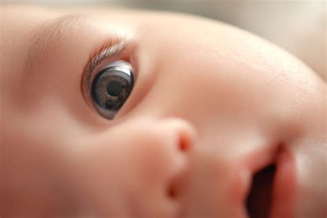 Sunalei Study Babies Poor Vision May Help Organize Visual Brain
