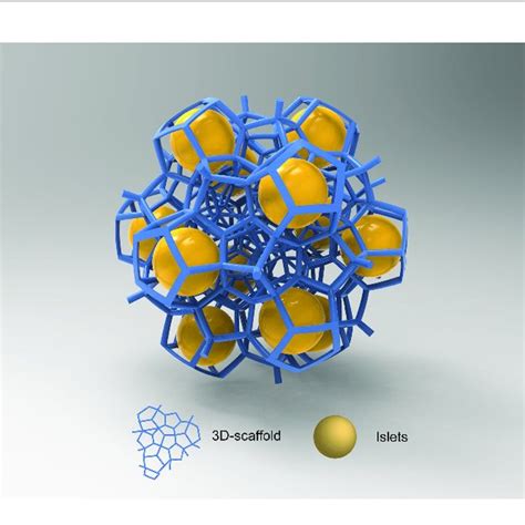 Pdf Islet Encapsulation New Developments For The Treatment Of Type 1