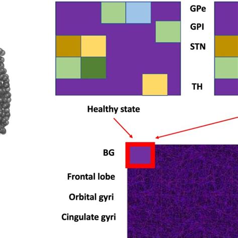 Discrete Brain Network Connectome In The Healthy State Left Axial