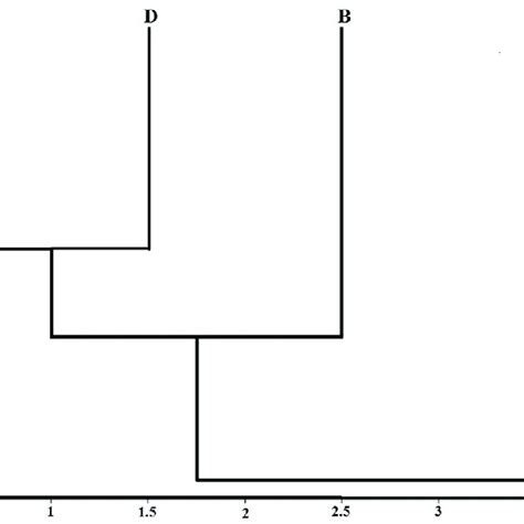 dendrogram derived from cluster analyses of morphometric variables on