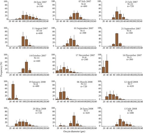 Oocyte Size Frequency Distribution Of H Tubulosa Females From Each Download Scientific Diagram