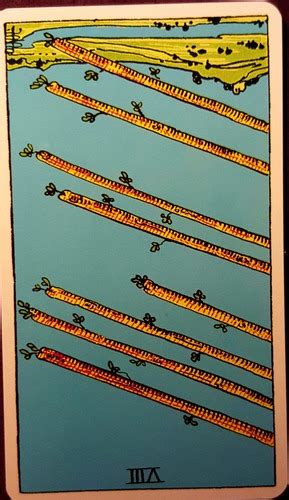 Psychology Chapter 3 And 4 Flashcards Quizlet