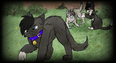 Warriors Warrior Cats Warrior Cats Scourge Warrior Cats Art