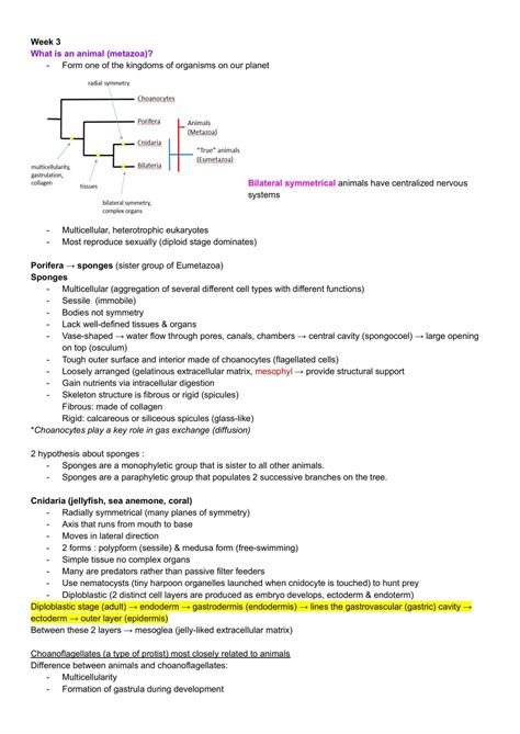 summary of weekly lecture material bio1022 biology ii monash
