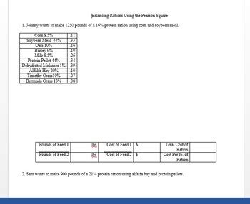 Pearson Square Worksheet With Key By The Nerdy Farm Girl TPT