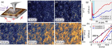 Correlated Electron Systems Basov Infrared Research