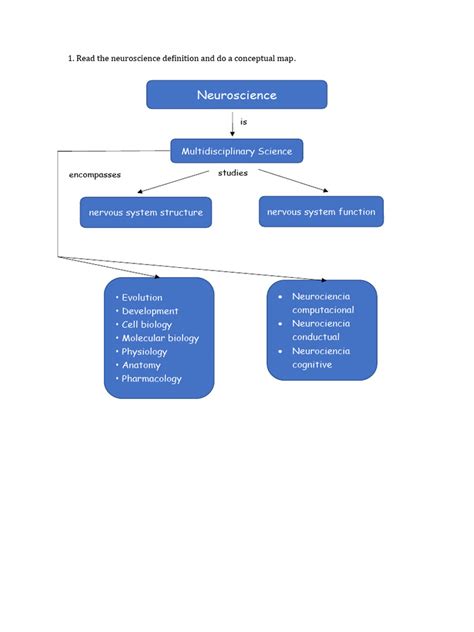Neuroscience 1 Read The Neuroscience Definition And Do A Conceptual Map Pdf Neuroscience