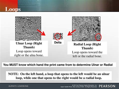 Stl 175 Forensics Professor Mastromarco Ppt Download