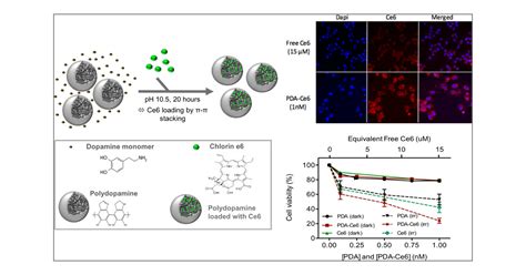 Polydopamine Nanoparticles Enhance Drug Release For Combined Photodynamic And Photothermal