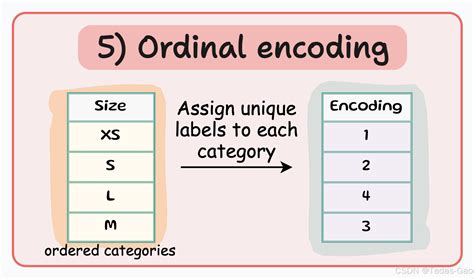 7种分类数据编码技术详解：从原理到实战dummy Encoding Csdn博客