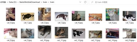 python猫狗大战代码 csdn博客