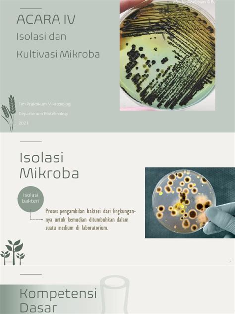 Isolasi Dan Kultivasi Mikroba Pdf