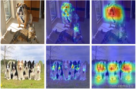 深度卷积神经网络cnn特征层的可视化cnn网络的特征python可视化 Csdn博客