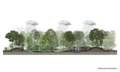 Pin By Cayo Costa On Urban Design Landscape Architecture Urban Forest Landscape