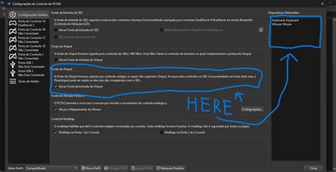 Bug When Starting The Program With A Playstation 2 Control Adapter