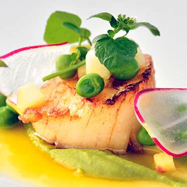 Scandallo Lounge O Melhor Da Noite Paulistana Num S Lugar