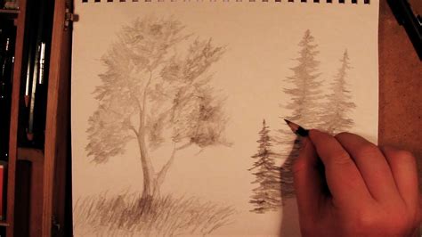How To Draw A Tree YouTube