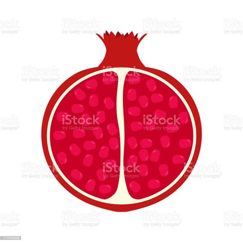 흰색 배경에 고립 된 석류 석류 세트를 잘라 전체 트로픽 과일 플랫 벡터 일러스트 디자인입니다 0명에 대한 스톡 벡터 아트 및 기타 이미지 Istock