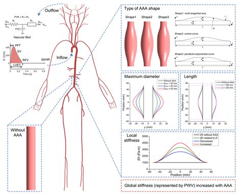 The One Dimensional Model Of Pulse Wave Propagation With The Normal