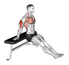 Tricep Dips On Floor