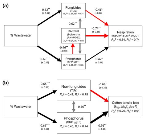Piecewise Structural Equation Models Showing The Influence Of Download Scientific Diagram